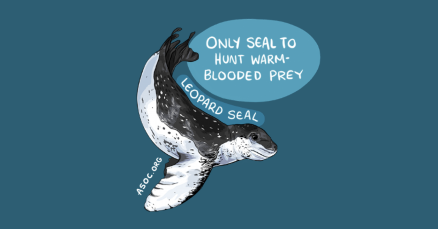 Leopard Seals - Antarctic and Southern Ocean Coalition