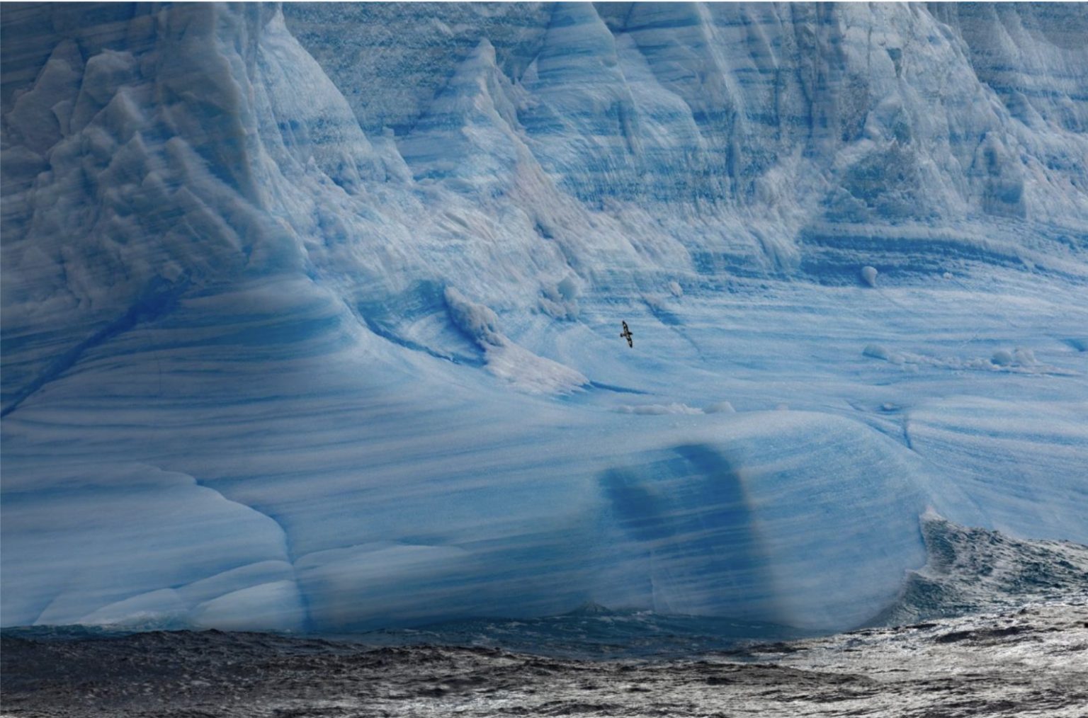 Who Governs Antarctica? Understanding the Unique Governance of the ...